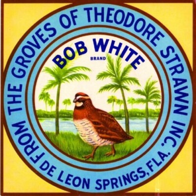 De Leon Springs Florida Bob White Bird Orange Citrus Fruit Crate Label ...