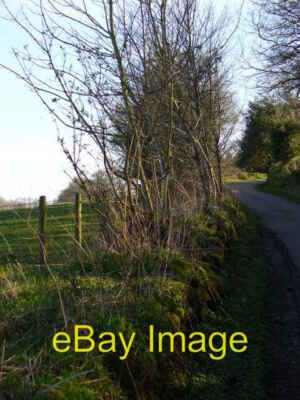 Photo 6x4 Lane by Kirkconnell Tower New Abbey Narrow hedgerow-lined ...