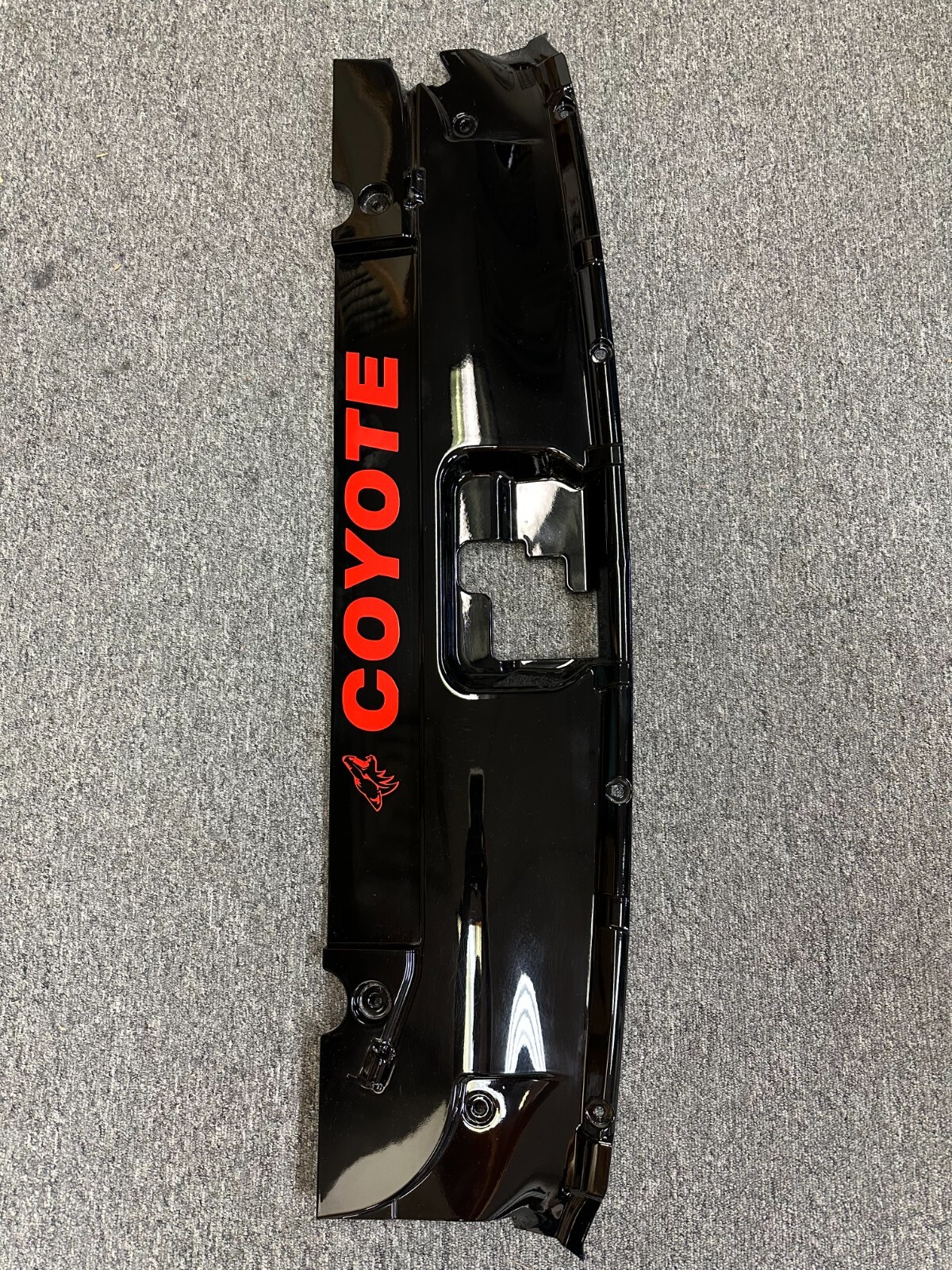 Ford Mustang GT Custom Hydrographic Carbon Fiber Radiator Cover 5.0 ...