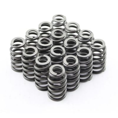 CHEVY LS1 VORTEC CAR TRUCK 4.8 5.3 6.0 6.2 GEN III IV VALVE SPRINGS | eBay