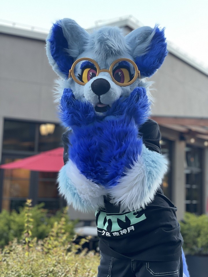 fursuit full partial | eBay