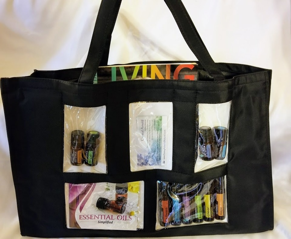 CLEARANCE Black Clear Photo Pocket Samples Party Consultant Tote Purse ...