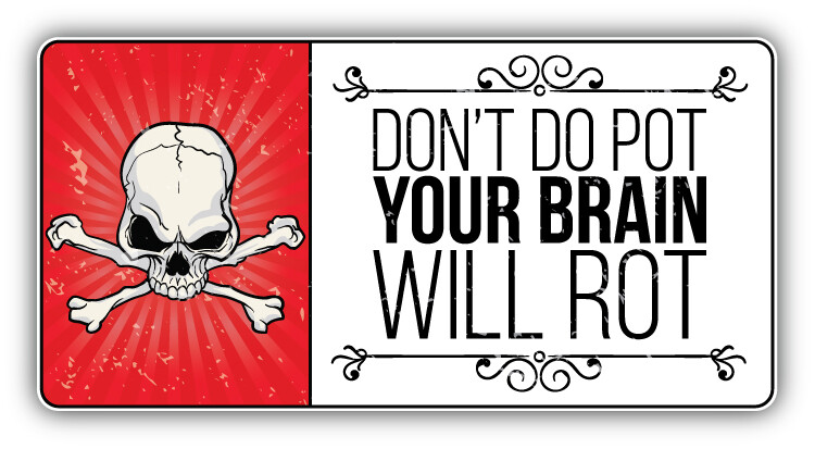 Anti Drug Grunge Don't Do Pot Your Brain Will Rot Car Bumper Sticker ...