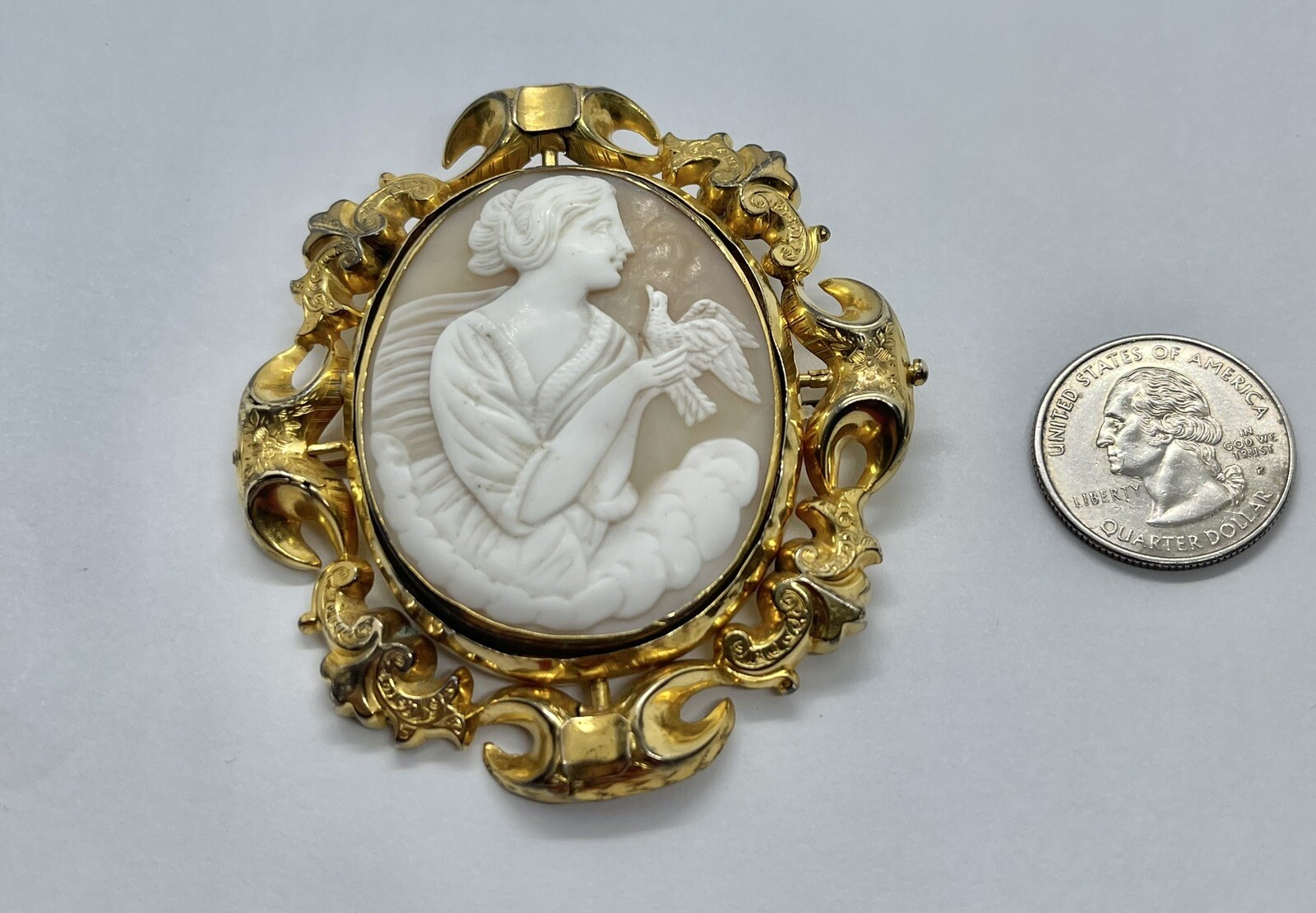 Antique Victorian Large Gold Filled Aphrodite & Dove Carved Shell CAMEO ...
