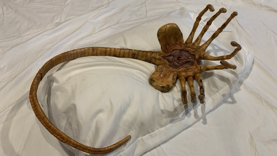 1:1 Scale Alien Aliens Facehugger Replica Model | eBay