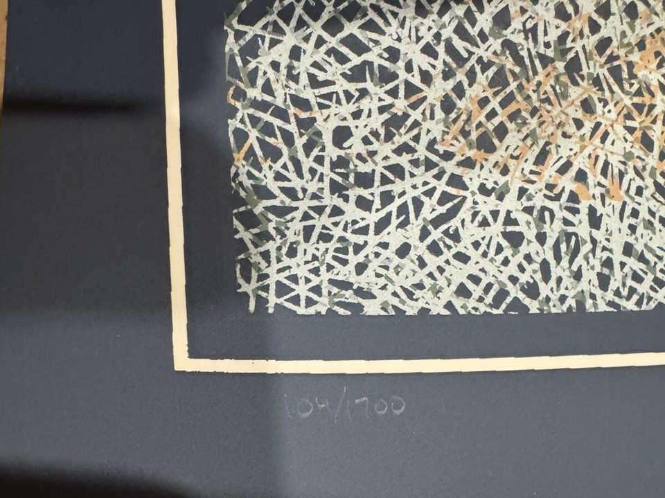 DMB Dave Matthews Band Poster MSG Luke Martin 11/23/24 Madison Square ...