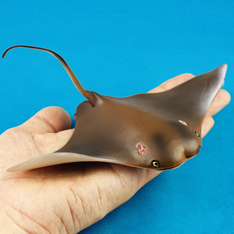 Manta Ray Ocean Animal