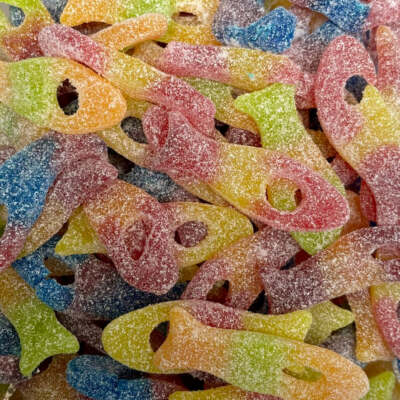 Fizzy Funky Fish Retro Sweets Candy Pick n Mix Party Favours | eBay UK