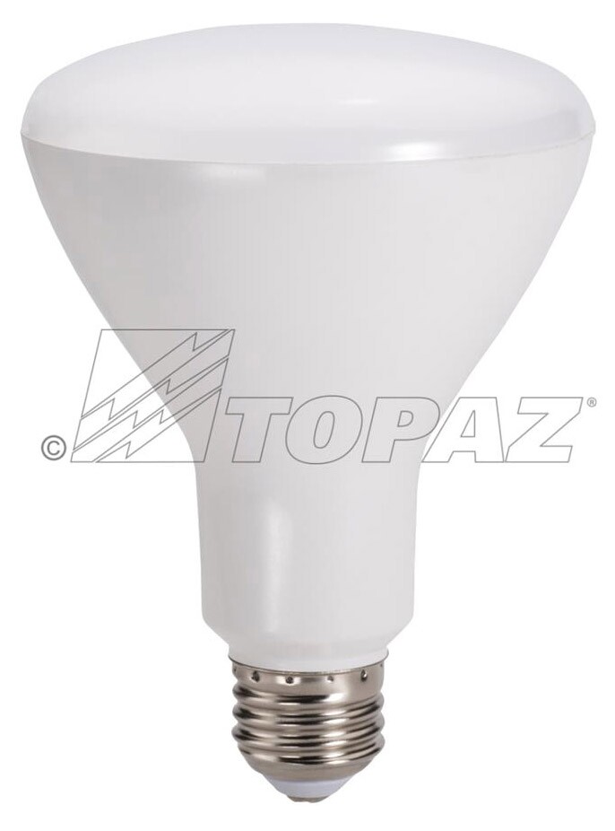 Topaz LED Flood Light LBR40/16/840/D | eBay