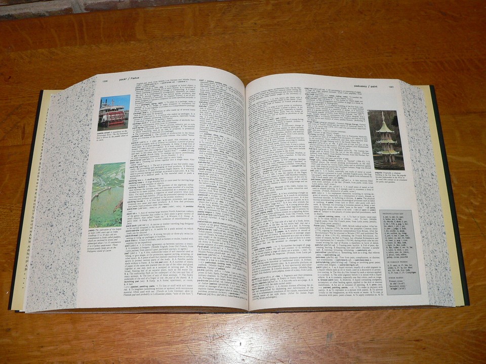 The Tormont Webster's Illustrated Encyclopedic Dictionary~HC/DJ 1990 ...
