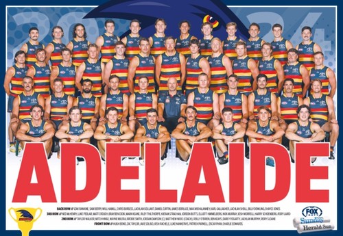 2024 Adelaide crows afl football team poster, BIG 600mmx420mm, BARGAIN ...