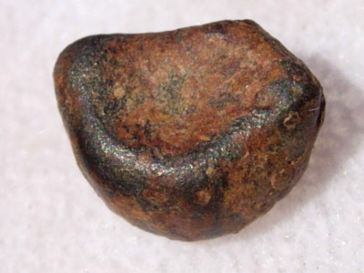 1.61 grams NWA 859 Taza Iron, ungrouped individual Meteorite with info ...
