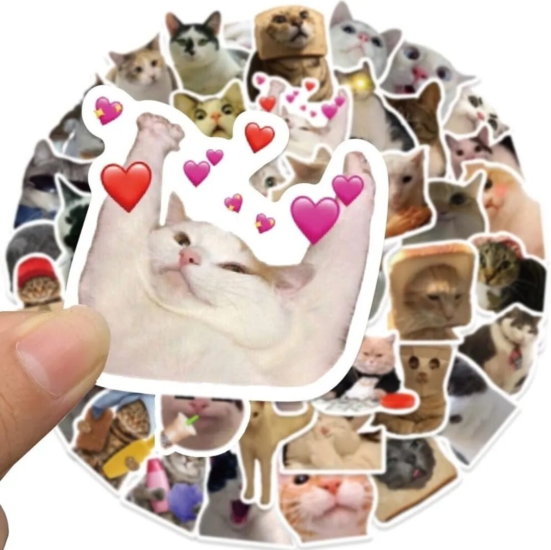 Heart Cath Memes Cat In Love Meme" Pillow By Valwerty | Redbubble