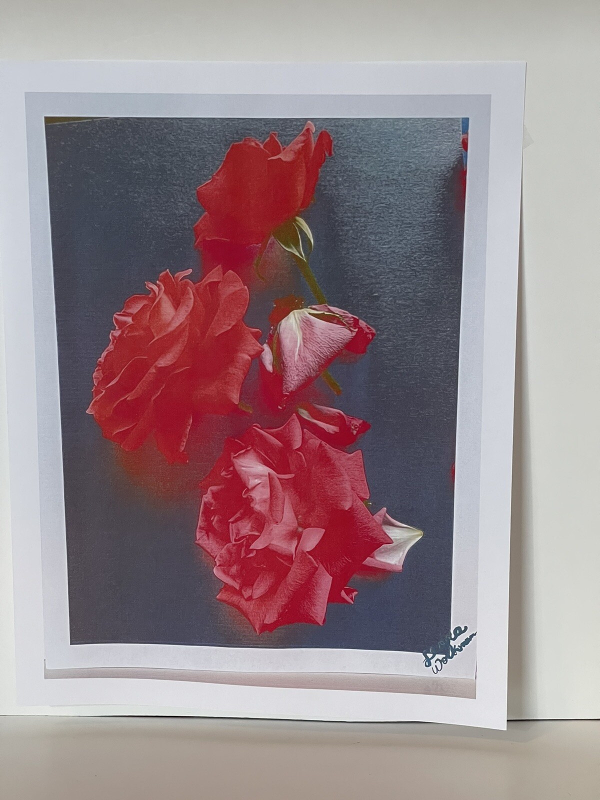 wall art contemporary print- Roses Destroyed 11X8.5 print | eBay