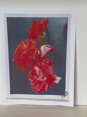 wall art contemporary print- Roses Destroyed 11X8.5 print | eBay