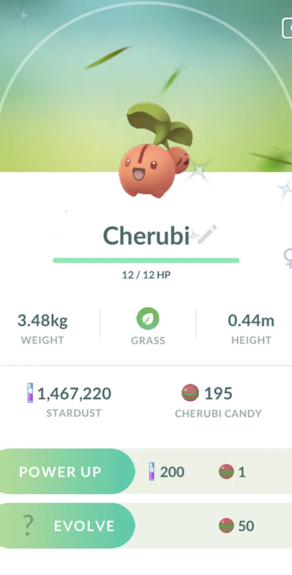 Cherubi Pokemon