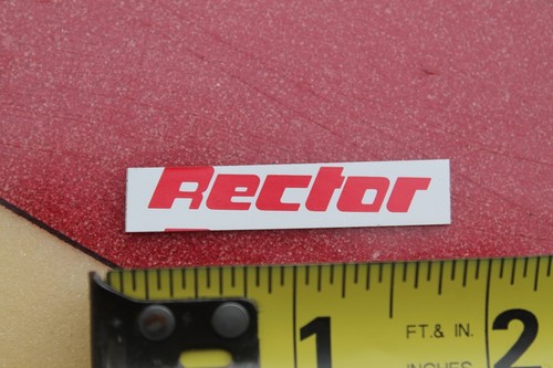 RECTOR Safety Gear Skateboards 70's Vintage JA Small Neon Skateboarding ...