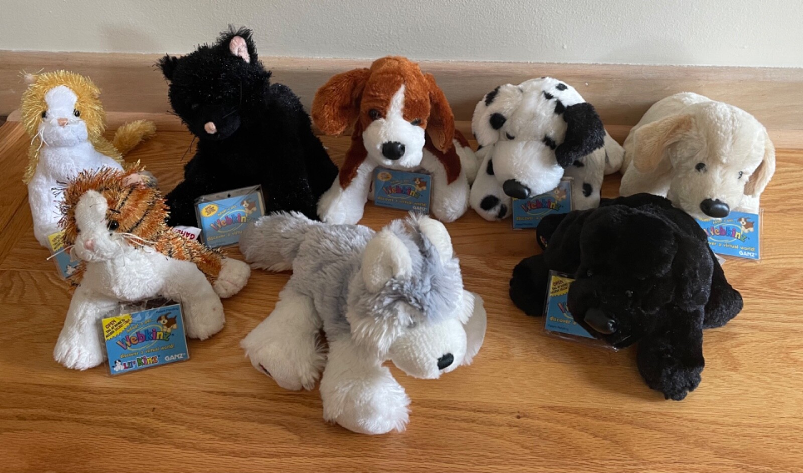 Webkinz Ganz Lot of 8 Cats and Dogs | eBay