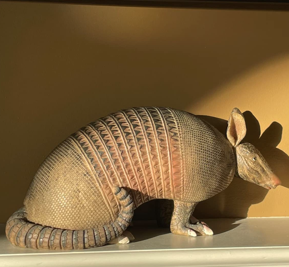 Lifelike Armadillo Garden Statue Sculpture Art Home Yard Patio Decor ...
