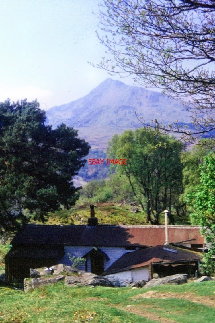 PHOTO 1981 HOLIDAY COTTAGE CAPEL CURIG THIS ISOLATED LOG CABIN IS ...
