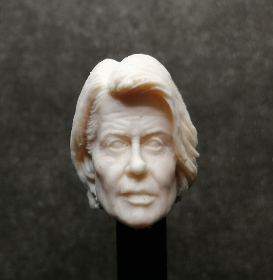1/18 CUSTOM FEMALE HEAD SCULPt resin casted headcast DIY, YOU CHOOSE | eBay