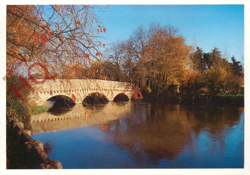 Picture Postcard::Ringwood, the River Avon | eBay UK