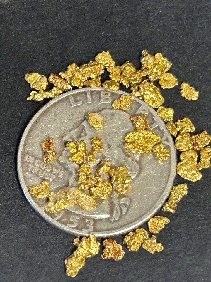 GOLD NUGGETS 2+ GRAMS Placer Alaska Natural #8 Mesh Gold Dust Creek ...