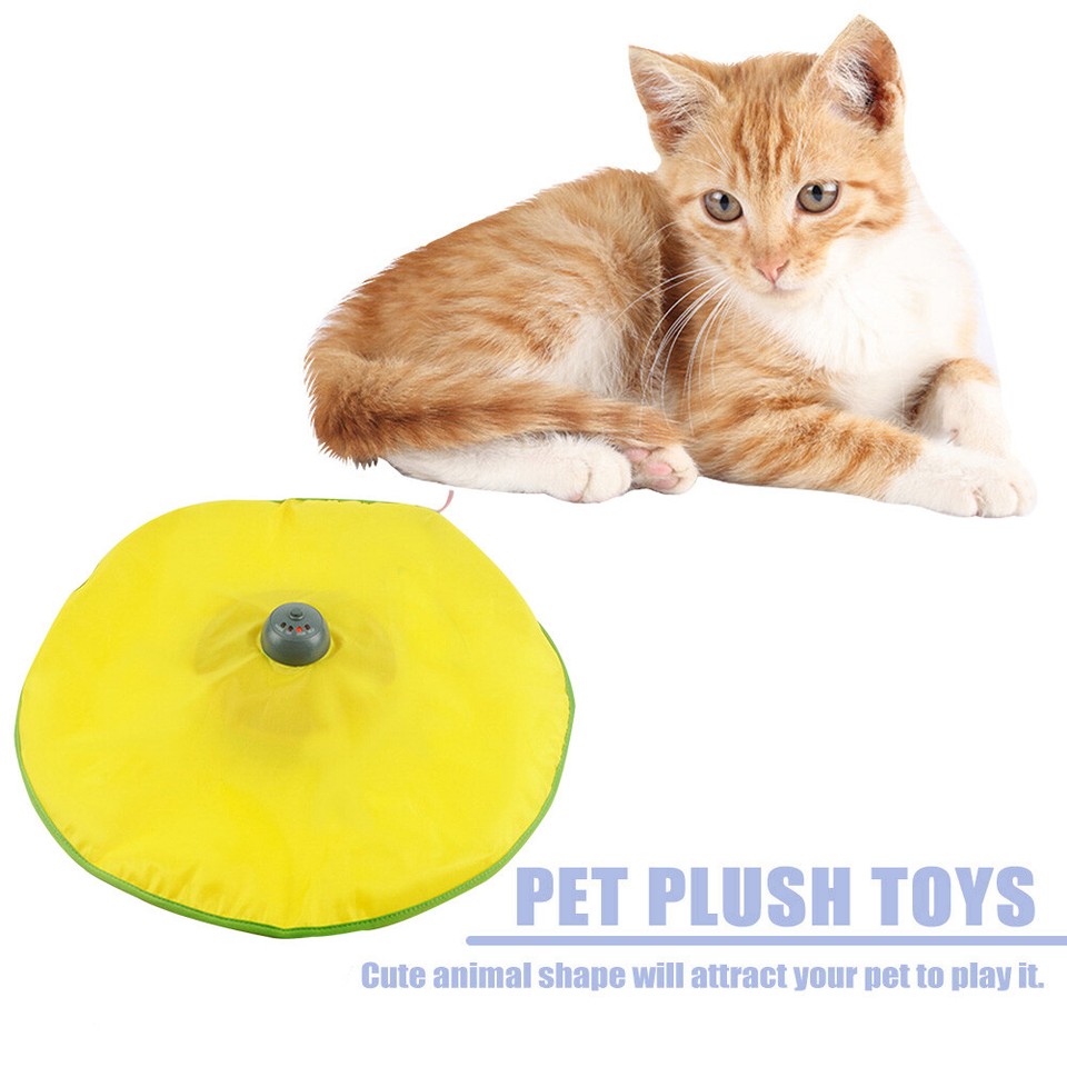 Moving Panic Mouse Toy Interactive Play Toy for Kitten | eBay