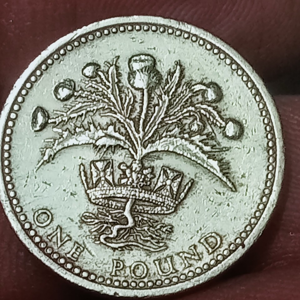 1984 RARE ONE POUND COIN | eBay