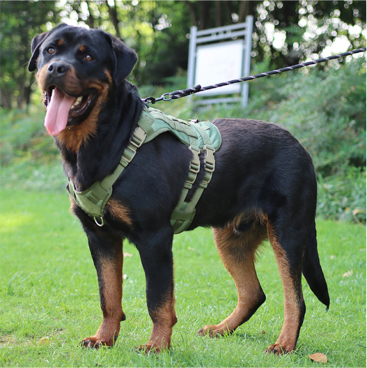 Tactical Dog Harness with Handle No-pull Large Military Dog Vest US ...