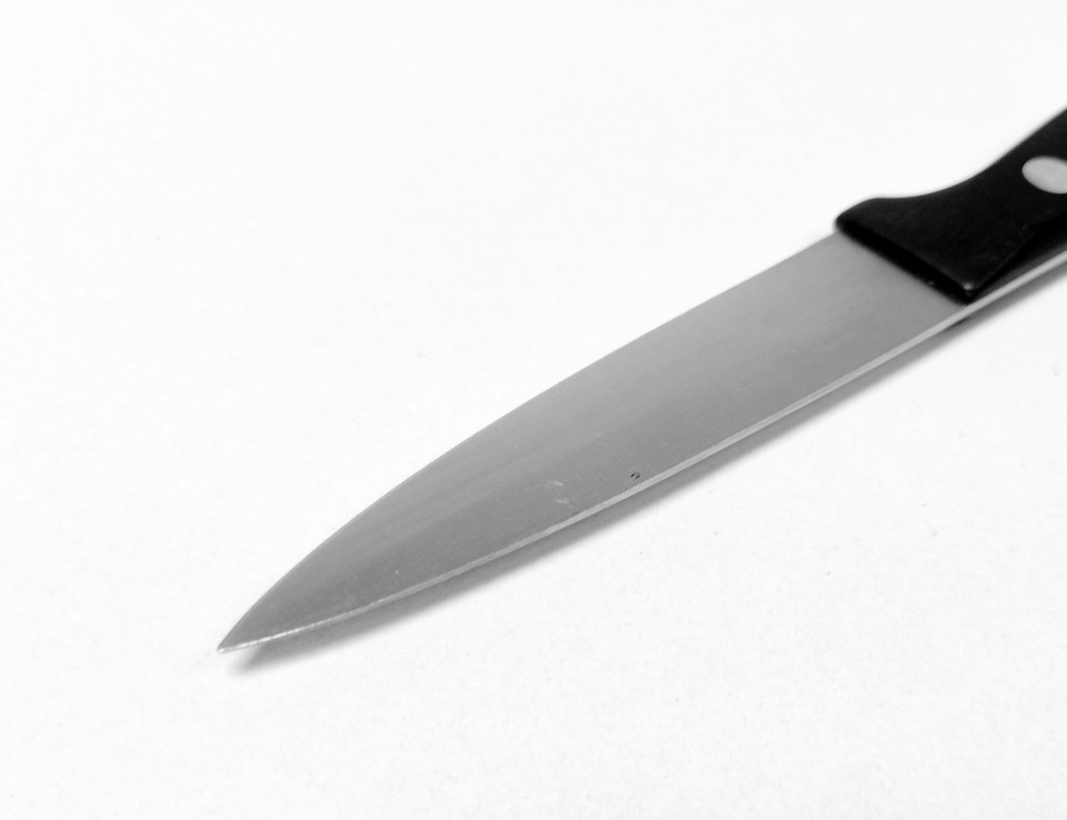 WUSTHOF Gourmet 4022 Paring Knife 3" Blade Made in Germany Solingen | eBay