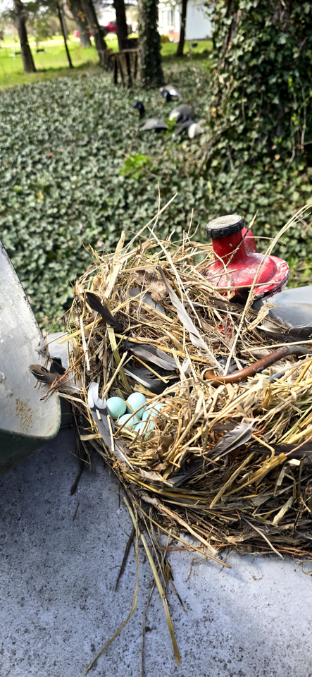 250, 500, 1,000 gallon Propane Tank Dome Seals, Vent cover protection ...