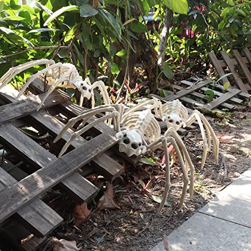 Halloween Spider Decorations Animal Skeleton Realistic Plastic Spider ...