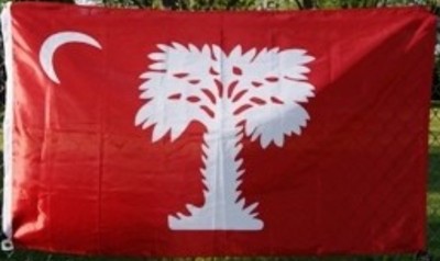 3x5 ft The Citadel ORIGINAL BIG RED Flag South Carolina 1861 Print ...