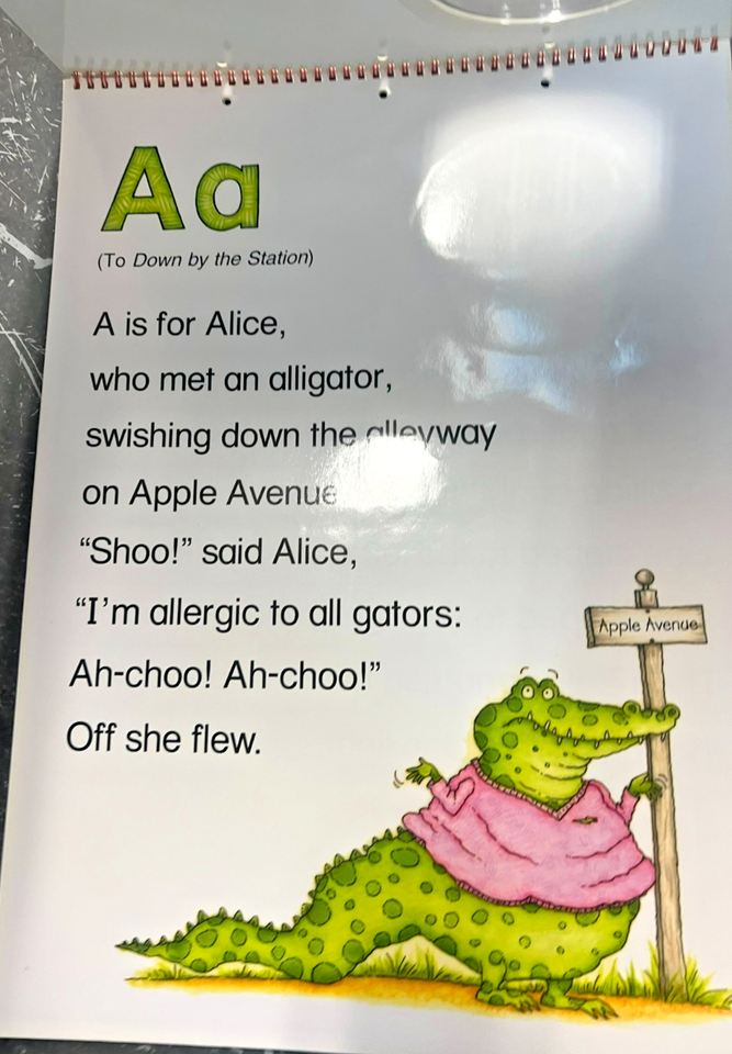 ABC Sing-Along Flip Chart Lessons & Activities No CD Grades PreK-1 | eBay