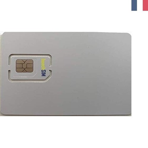 Carte SIM Prépayée Universelle pour Traceurs GPS - Installation Simple ...