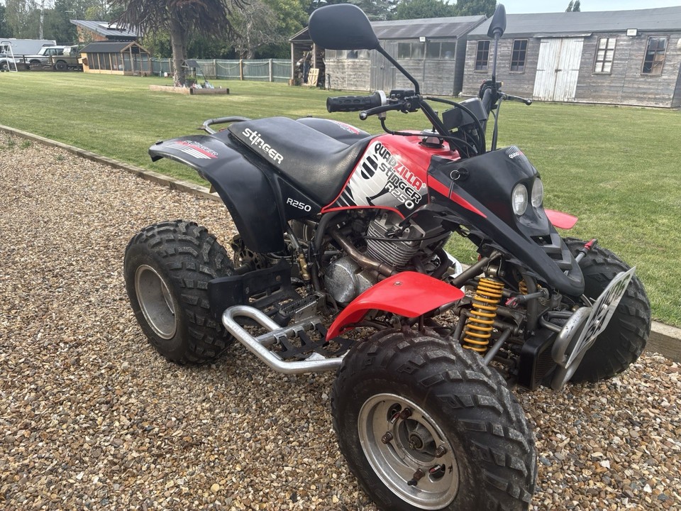 Quadzilla Quad Bike | eBay UK