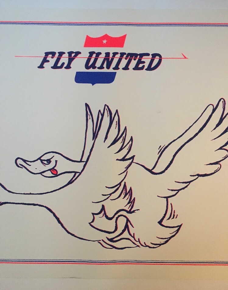 Airlines That Fly Birds