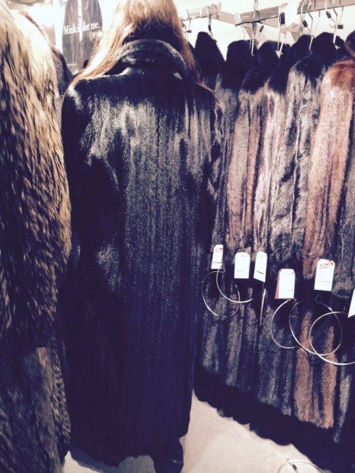 CHICAGO FUR MART.SIZE 20 CLASSIC BRAND NEW W/TAGS RANCH MINK COAT. $12. ...