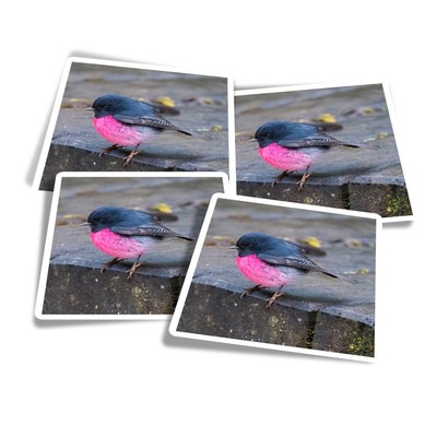 4x Vinyl Stickers Cute Pink Robin Bird #50685 | eBay UK