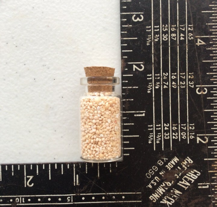 OKINAWA Japanese Star Sand 7ml Glass vial Collectible Curio oddity | eBay