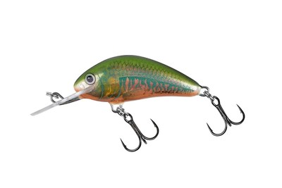 SALMO CRANKBAIT HORNET 4cm/3g F - Holo Oikawa (ultra light bait for ...