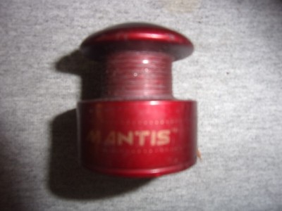 Spinning - Shakespeare Mantis