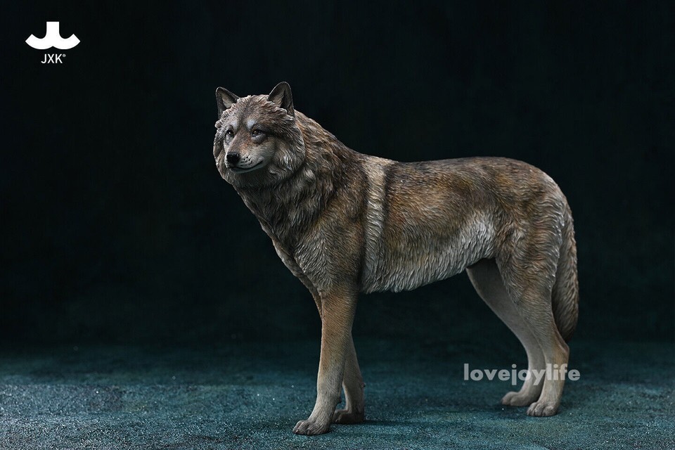 JXK 1/6 Arctic Wolf Model Canis Lupus Arctos Figure Wild Animal ...