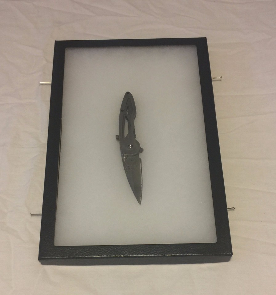 6-150 Riker Mount Display Case Shadow Box Frame Tray 12" X 8" X 3/4" | eBay