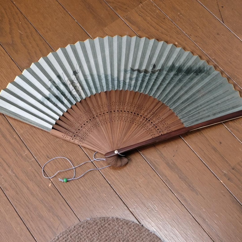 Sensu Kyoto Onishi Kyosendo Japanese Folding Fan Beautiful Design ...