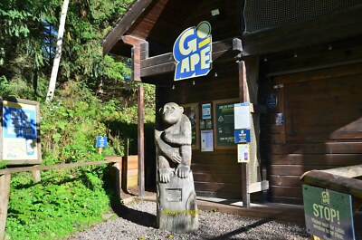 Photo 6x4 Go-Ape booking office Glentress A chimpanzee sculpture is the ...