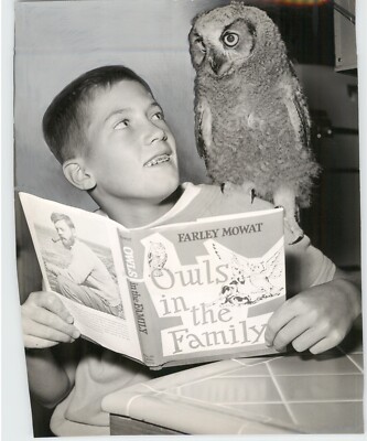 LIVE OWL & 12 Year Old Randy Garay with OWL Book VINTAGE 1962 Press ...