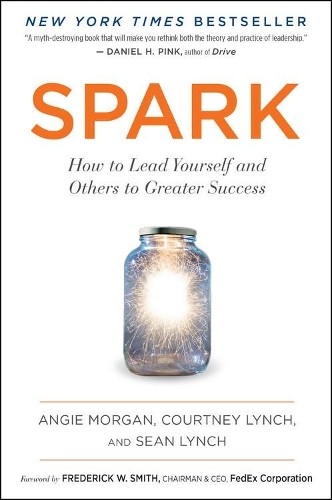 Angie Morgan Courtney Lynch Sean Lynch Spark (Paperback) | eBay