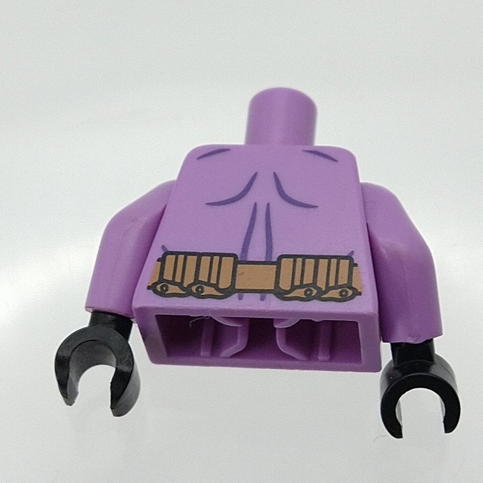 LEGO - Batman Logo Upside Down - Purple Torso w/ Muscles & Gold Belt ...